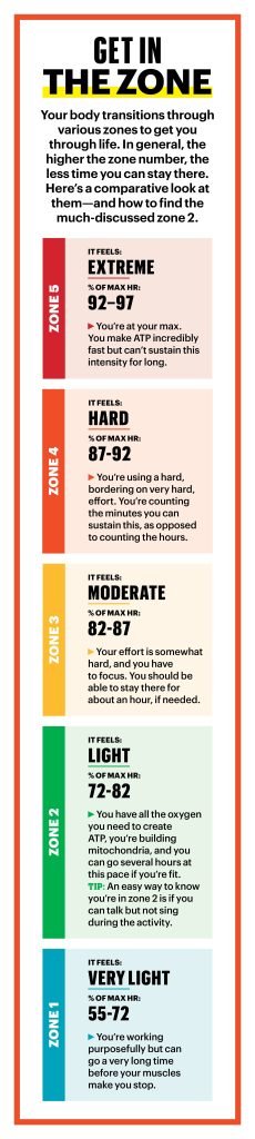 Effective Strategies For Zone 2 Cardio Improvement - PluseFitGuide