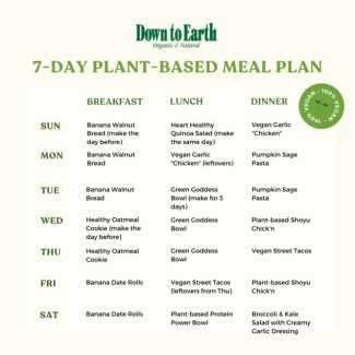Effective Plant Based Weight Loss Meal Structure Tips - PluseFitGuide